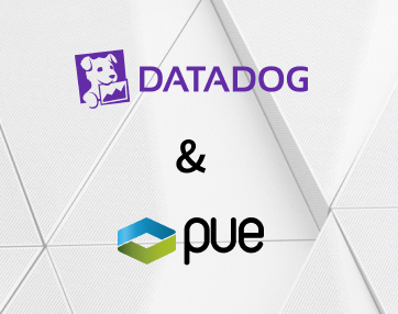 Comprehensive consulting and IT training services | PUE